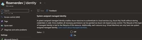Managed Identity Authentication From Synapse Notebook Using Pyodbc Library To Azure Sql Db