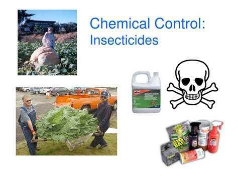Ppt Chemical Control Insecticides Powerpoint Presentation Free Download Id 151064