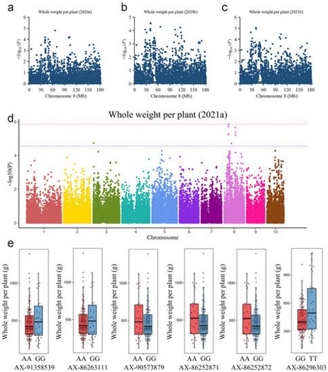 Ijms Free Full Text Identification Of Genetic Variations And