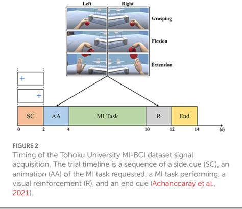 figure 1 from multibranch convolutional neural network with contrastive