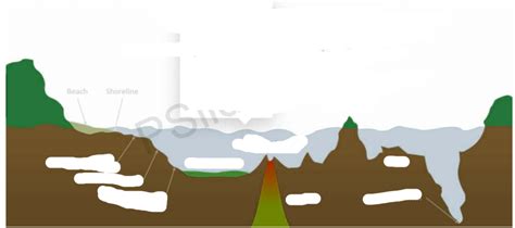 Marine Biology Module 1 Diagram Quizlet