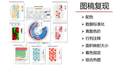 Heatmap热图绘制 宇宙最强视频教程零基础从入门到精通 知乎