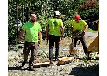 3 Best Tree Services In Kent WA Expert Recommendations