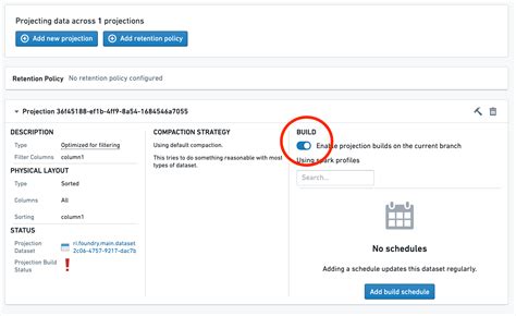 Optimizing And Debugging Pipelines Dataset Projections Set Up A