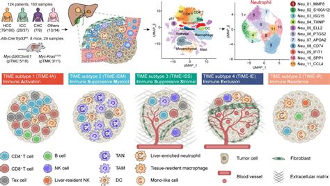 张宁课题组及合作者研究成果入选2022年度中国生物信息学十大进展 生物通