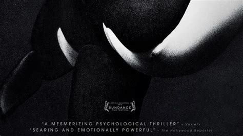 Blackfish 2020 Sinopsis Full Sarikata Bm Iqiyi