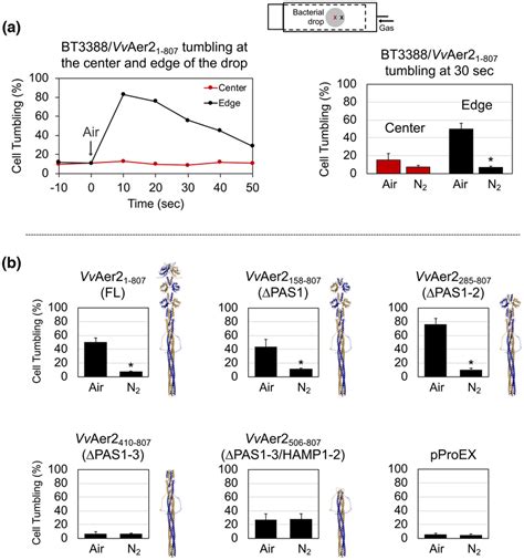 Vvaer2 Directed Behavior In E Coli And The Impact Of Sequential