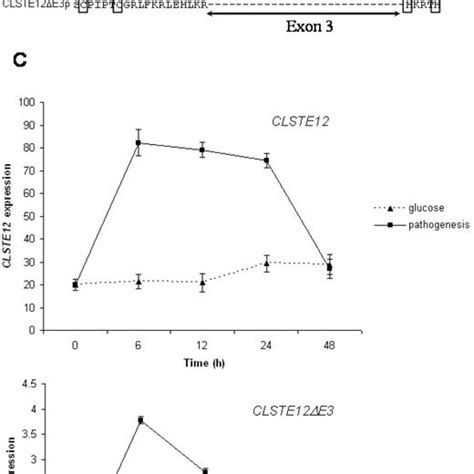 Cell Surface Protein Analysis A Monodimensional Analysis Of Cell Download Scientific Diagram