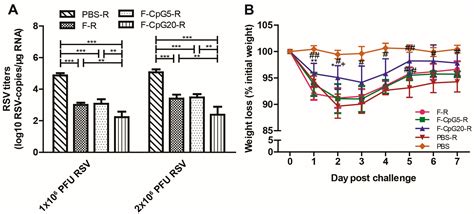 A Built In Cpg Adjuvant In Rsv F Protein Dna Vaccine Drives A Th1 Polarized And Enhanced