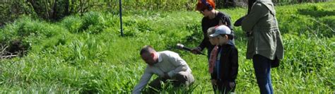 Polskie Radio Katowice Wiadomości Eko Ranek Rośliny Lecznicze