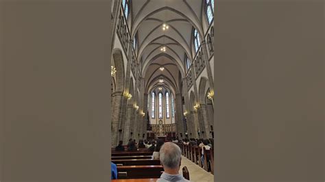 명동성당 한낮 음악회 10월 Youtube