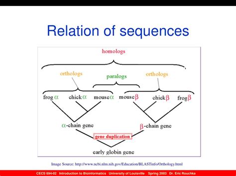 ppt lecture 2 pairwise sequence alignment eric c rouchka d sc