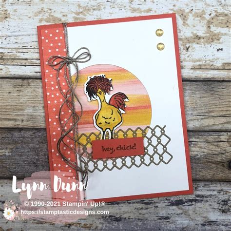 Stampin Up Hey Chick Card Ideas Lynn Dunn Stamptastic Designs Llc