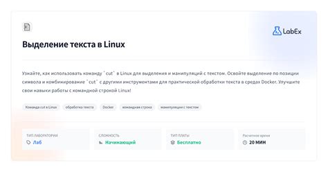 Выделение текста в Linux Labex