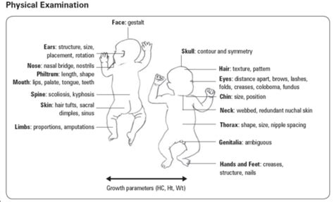 Pediatric Physical Examination