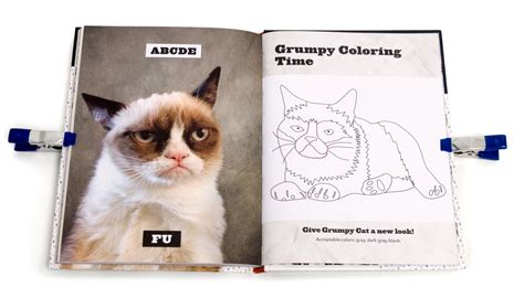Grumpy Cat A Grumpy Book Kellyabeln