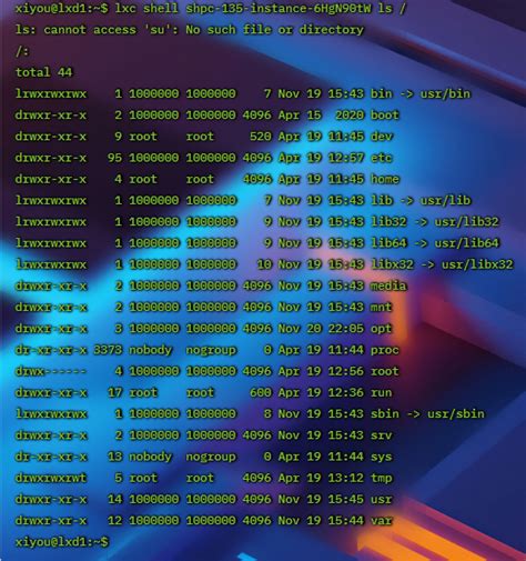 Why Owner Of Most File In Container Is LXD Linux Containers Forum