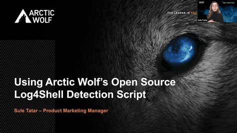 Using Arctic Wolfs Open Source Log4shell Detection Script Youtube