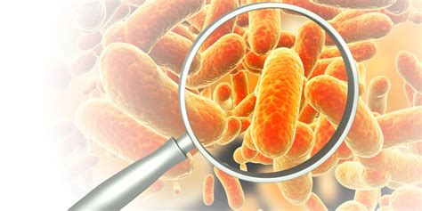 How To Detect And Remove Bacteria From Your Drinking Water Olympian Water Testing Llc