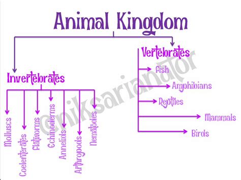 Pptx Igcse Biology Classification Of Organism Dokumentips