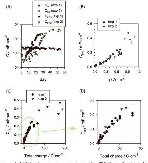 Figure 1 From Quantification Of Bio Anode Capacitance In Bioelectrochemical Systems Using