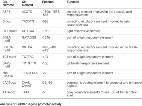 Putative Cis Acting Regulatory Elements Download Scientific Diagram