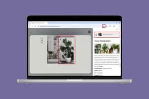 How To Use Google Lens In Chrome Desktop TechCult