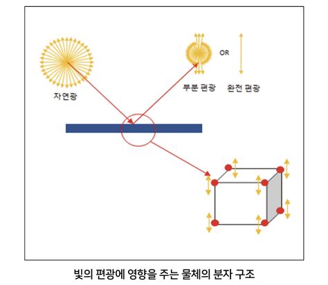 비전시스템