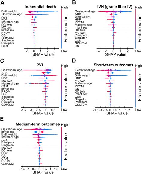 Impact Of Input Features On Each Outcome Prediction Each Dot