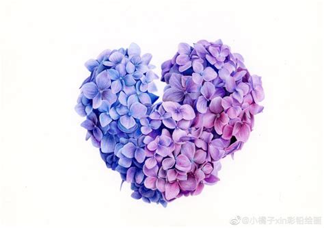 Hua Hua 高清图片，堆糖，美图壁纸兴趣社区