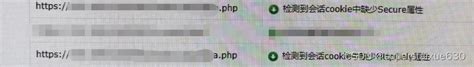 Php Apache 检测到会话cookie中缺少onlysecure属性漏洞处理cookie Secure 缺失漏洞 Csdn博客