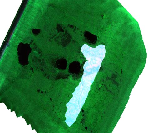 Arcgis Desktop Mosaic To New Raster Mosaic Function Changes Colors Of Images Geographic