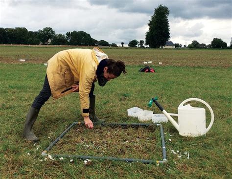 Put Some ‘mustard On Your Earthworm Sampling Methods