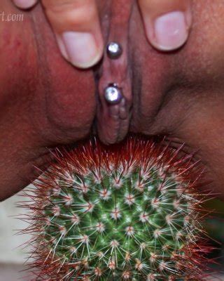 Hot Cunt Cock On Cactus Pussy Cocktus Porn Pictures XXX Photos Sex Images 3742588 PICTOA
