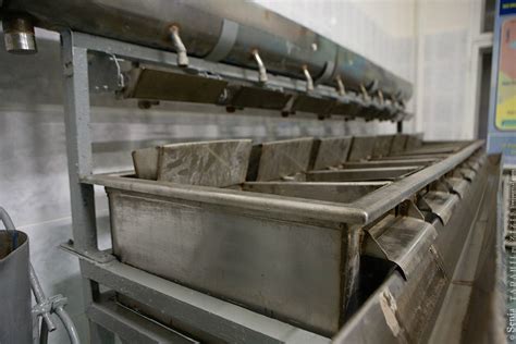 Купить Малька Осетра