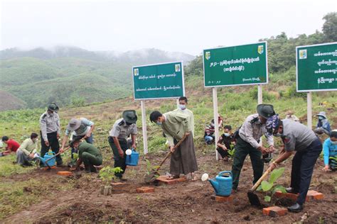 မိုင်းယောင်းမြို့နယ်ရှိ ထပ်ပူခမ်းစေတီဘုရားကုန်း သာယာလှပရေး သစ်ပင်များစိုက်ပျိုး Information