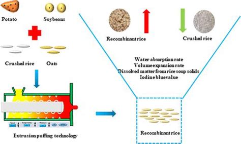 挤压膨化碎米基再造米的制备及其理化和结构特性 ACS Food Science Technology X MOL