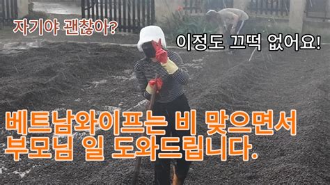 베트남와이프는 비 맞으면서 부모님 일 도와드립니다 한베커플국제커플 Youtube