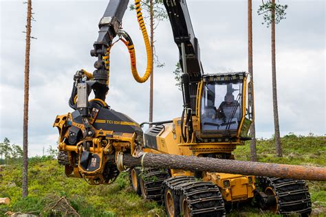 1165 Haverster Cuoq Forest Diffusion