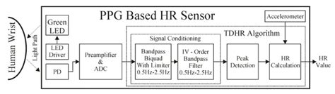 Photoplethysmographic Time Domain Heart Rate Measurement Algorithm For