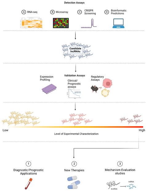 Discovery And Validation Of Clinically Relevant Long Non Coding RNAs In Colorectal Cancer