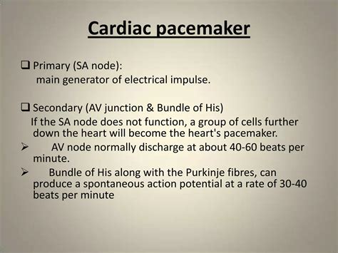 Hearts Pace Maker The Sinoatrial Node Pptx