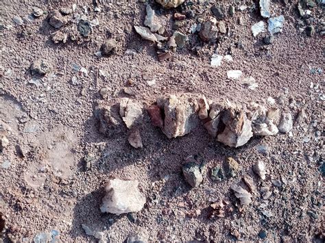 Micas Em Afloramento Na Praia Da Ilha Sir Bu Nair 3 De Dezembro De