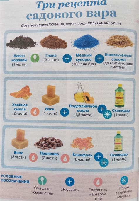 Pin By Ма Шка On Во саду ли в огороде Berry Garden Garden Planning Flora