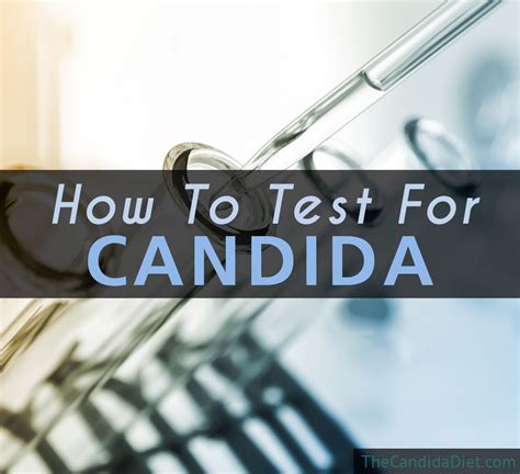 Testing For Candida The Candida Diet