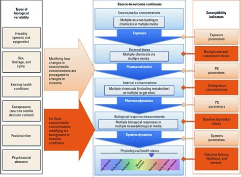 Framework Illustrating How Susceptibility Arises From Variability Download Scientific Diagram