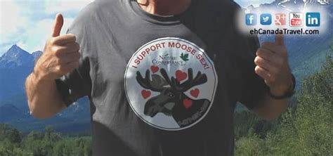 Moose Sex Project EHarmony Of Wildlife Canada Adventure Travel Blog