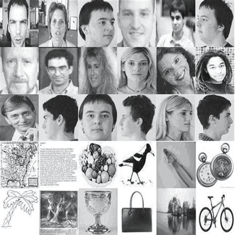 Example Face And Nonface Images Used For Testing The Single Mlp And Download Scientific Diagram