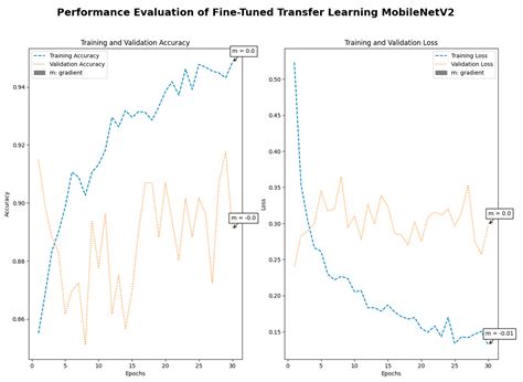 Brain Tumor Detection And Prediction In Mri Images Utilizing A Fine