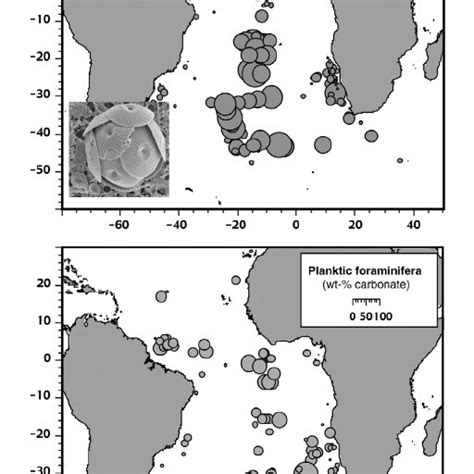 Maps Of Weight Balanced Carbonate Contents Of Coccoliths Upper Figure